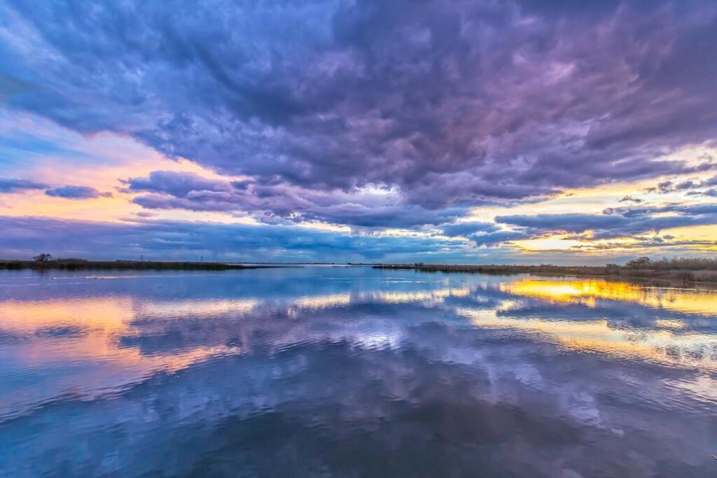 Big Break Regional Shoreline: Exploring Oakley’s Delta Gateway - Local ...