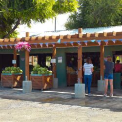 Next Level Pinball Museum: The Largest Arcade on the West Coast is Just ...