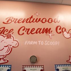 Next Level Pinball Museum: The Largest Arcade on the West Coast is Just ...